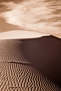 Natural Light Photography: Larry Broder, Photographer